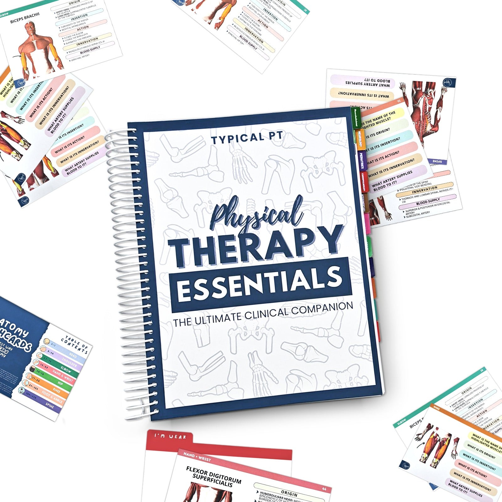Physical Therapy Essentials Book - Typical PT