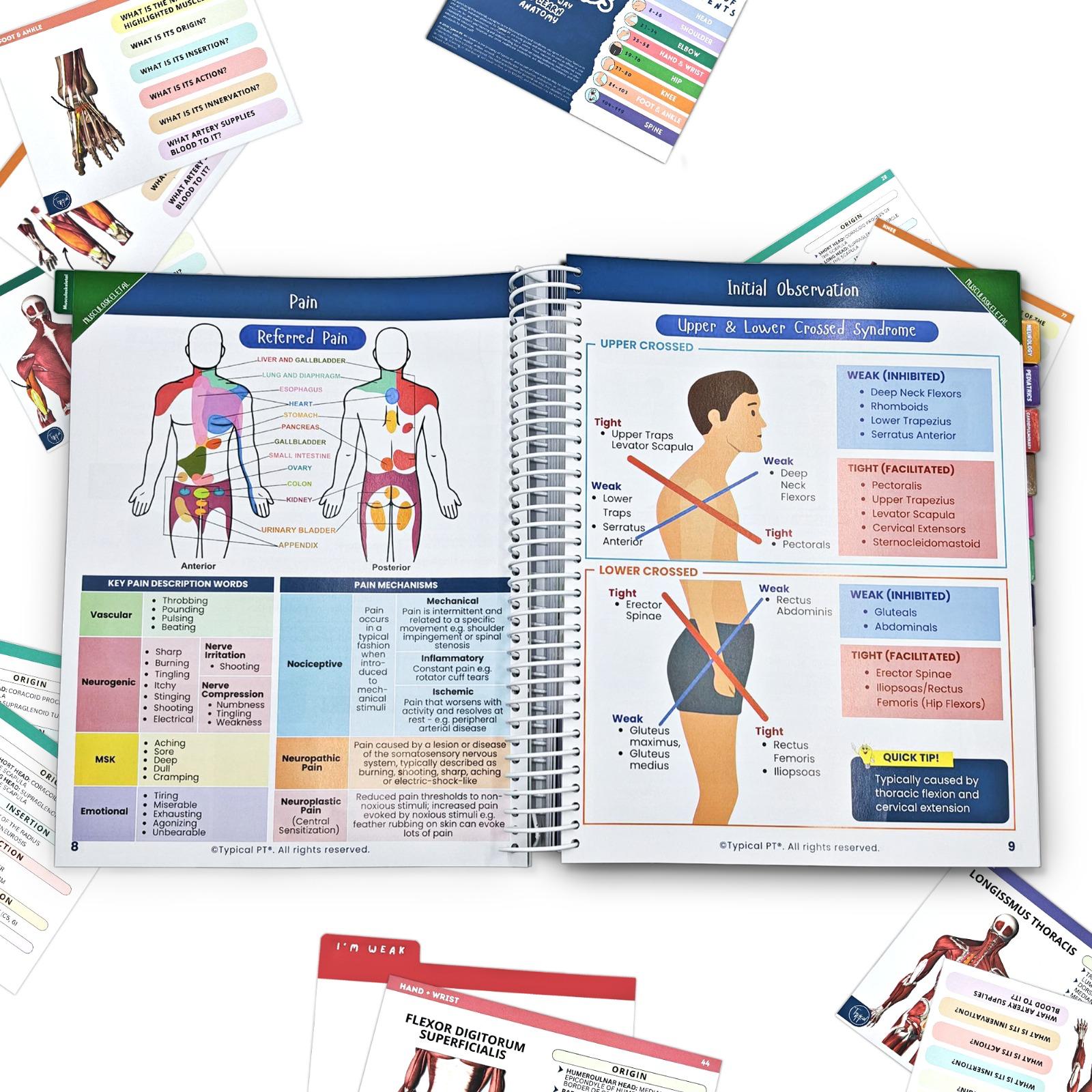 Physical Therapy Essentials Book - Typical PT