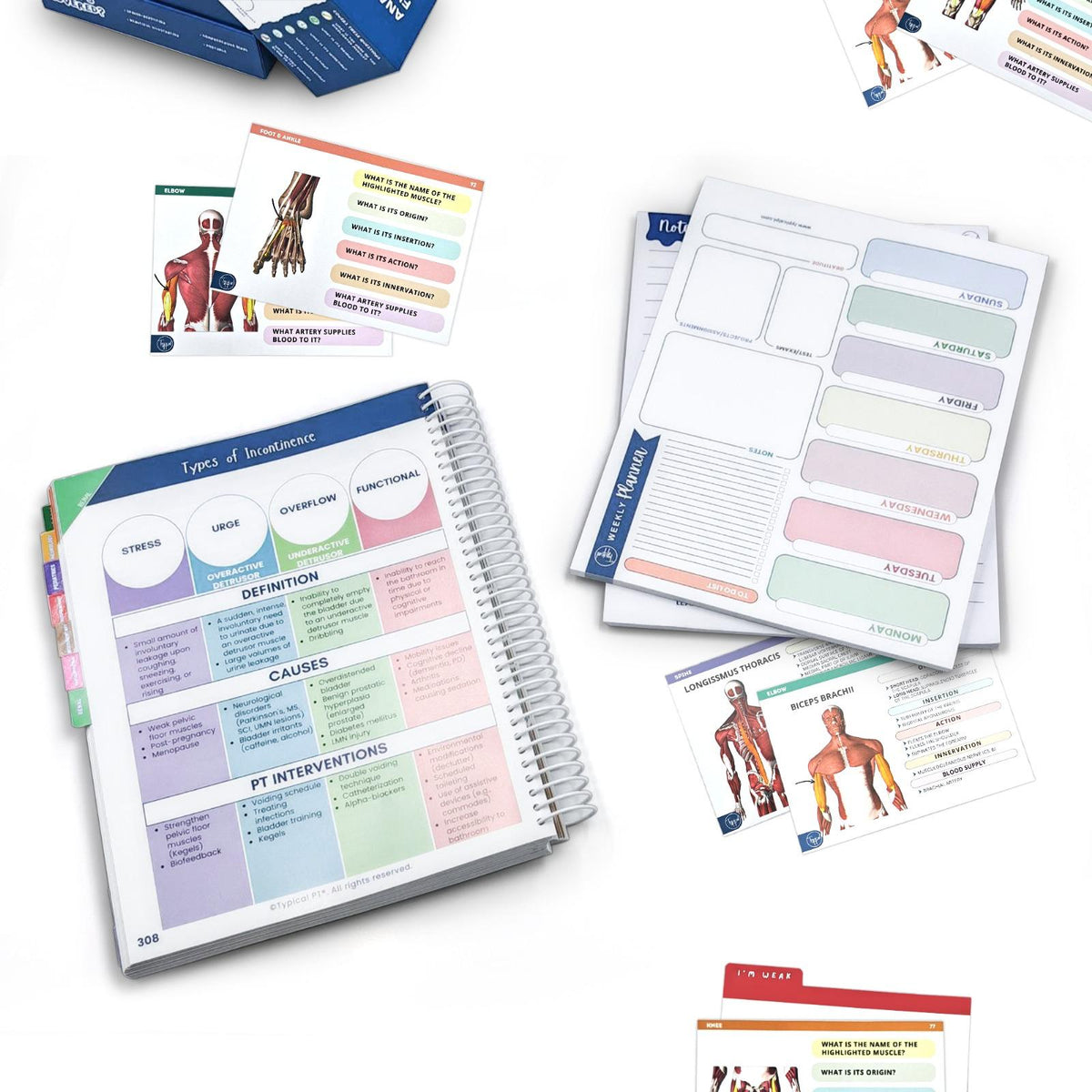 Physical Therapy Essentials Book - Typical PT